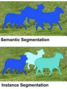 Deep Learning for Semantic Image Segmentation: A Worked Example in TensorFlow - Programmathically